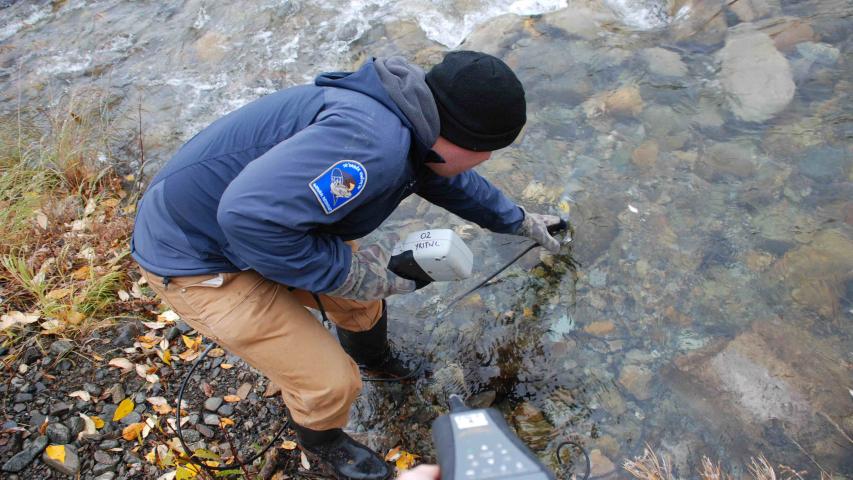 Tr'ondëk Hwëch'in | Indigenous Guardians Toolkit